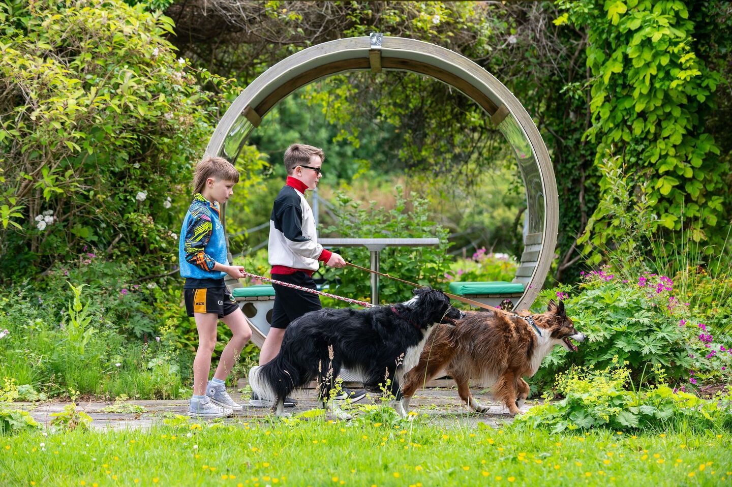 Many of the country’s estates are becoming dog-friendly and for ...
