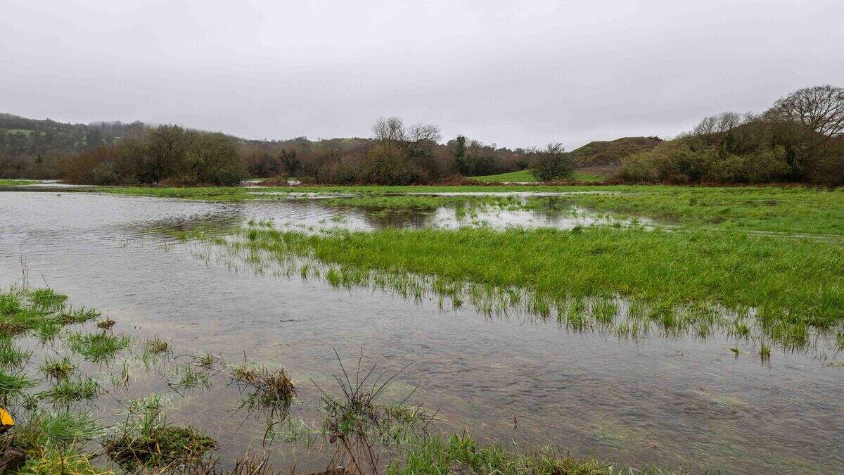 Landowners must cut tenant farmers some slack at this difficult time ...