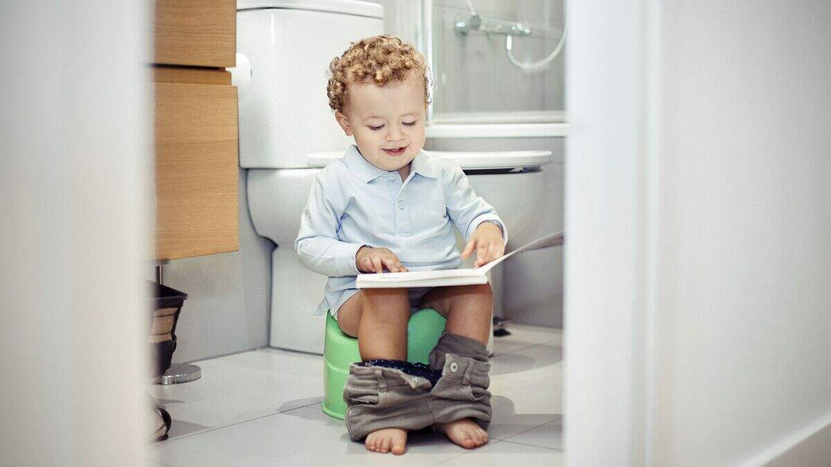 Six potty training tips every parent needs to know before saying ...