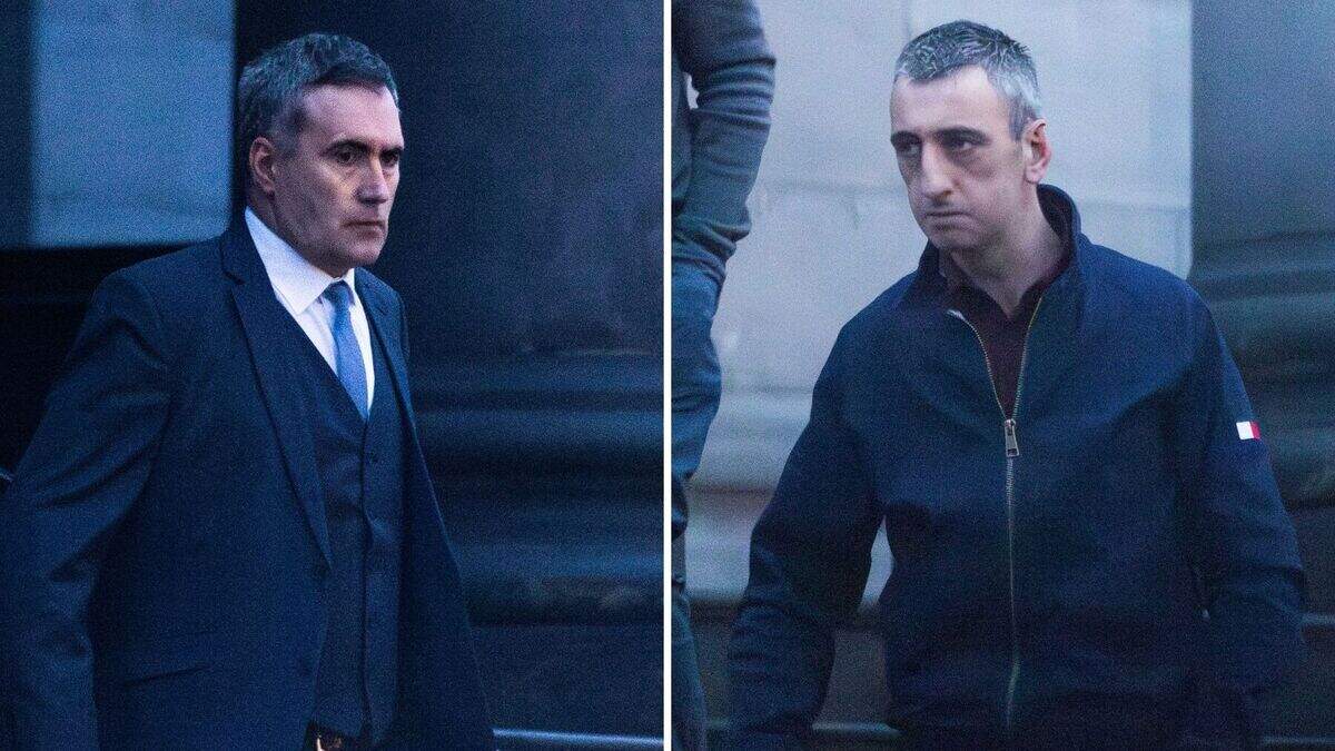 ‘Model citizen’ who bit off part of brother’s ear in row over ‘land ...