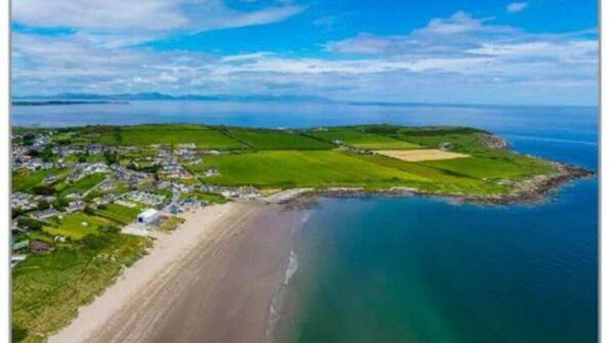 IBAL litter survey sees Louth beach improve its status to be declared ...
