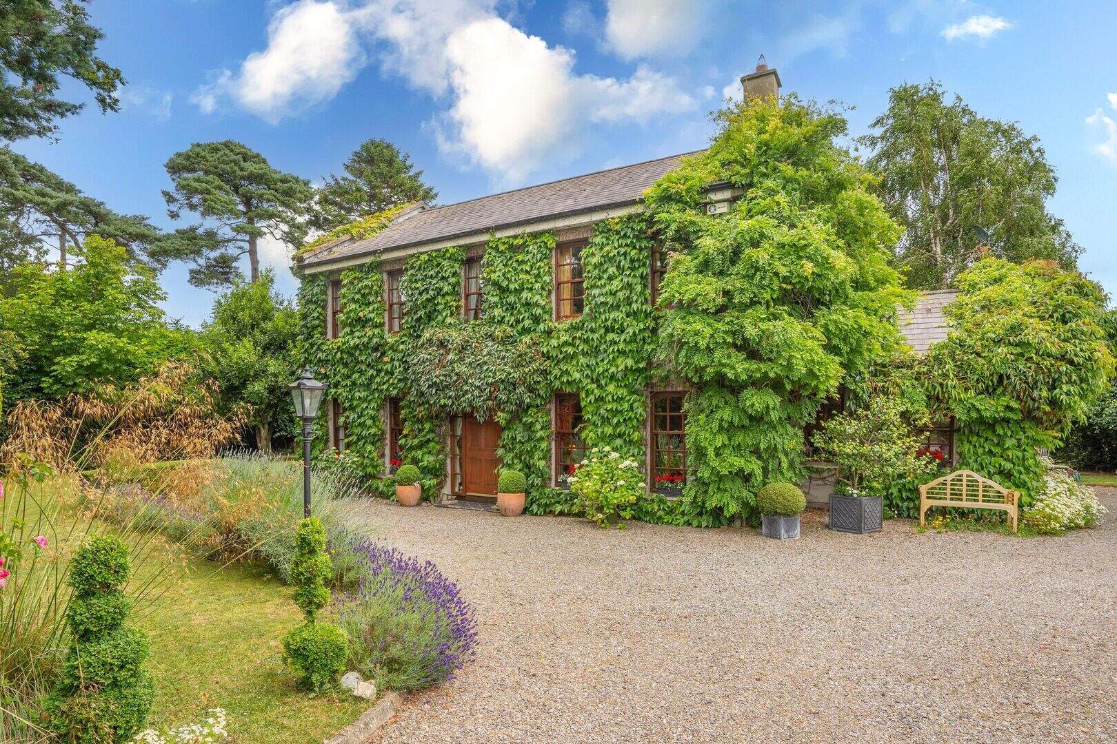 It’s alive! Dublin home sprouts a whole new facade every summer | Irish ...