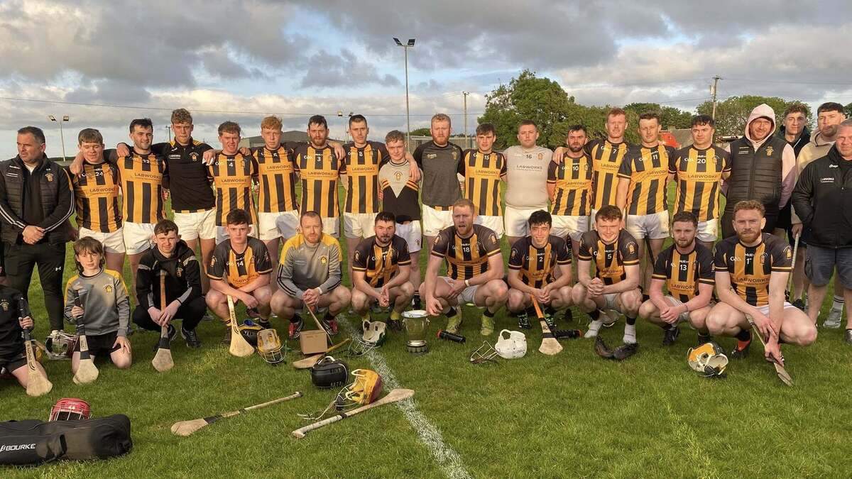 Abbeydorney win North Kerry Senior Hurling League title | Irish Independent