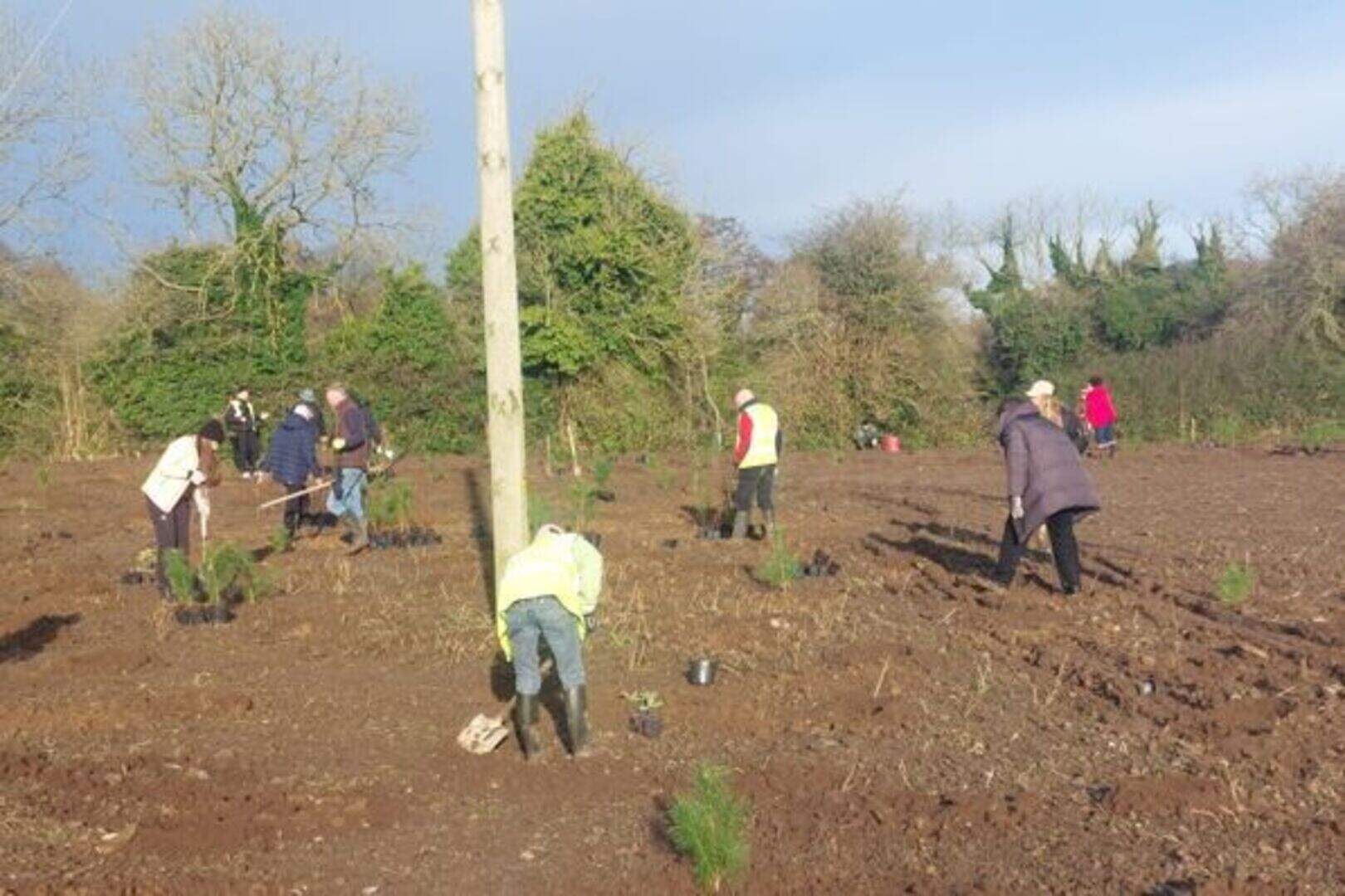 From coachbuilding to a nature reserve Ardee woman, Anne Lennon tells ...