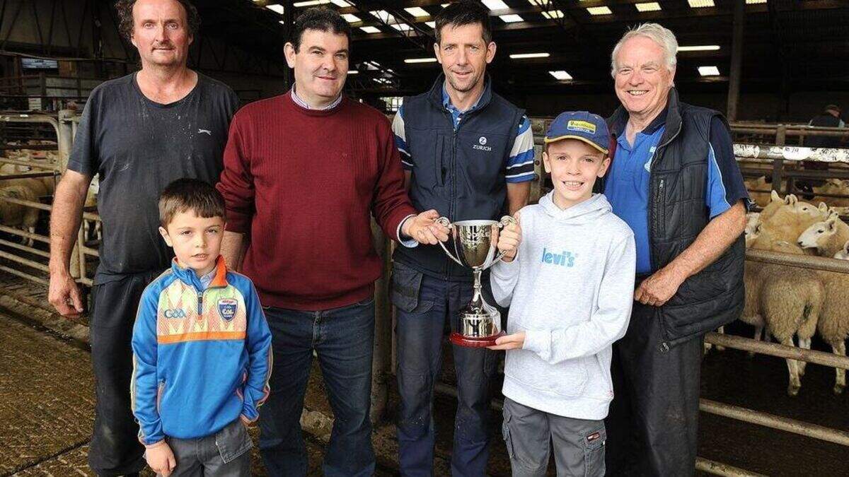 Wicklow sheep farmers call on Minister to deliver in upcoming Budget ...