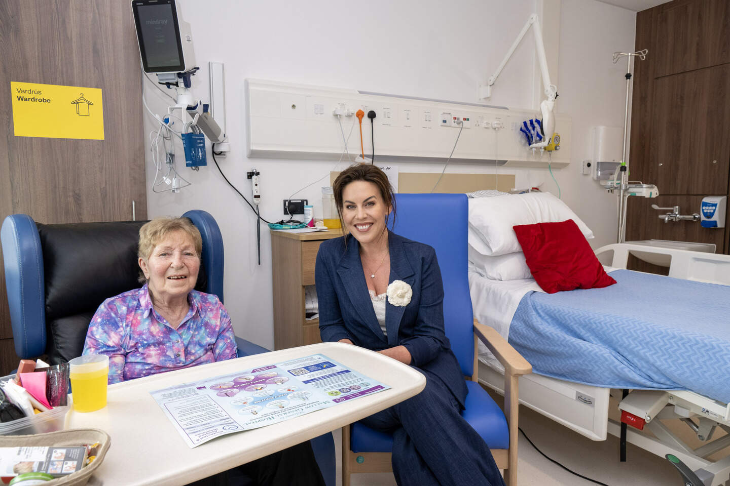 Rotunda Hospital caves to Minister’s demands on public consultants ...
