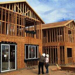 Timber: Making the most of Ireland’s fastest-growing natural resource ...