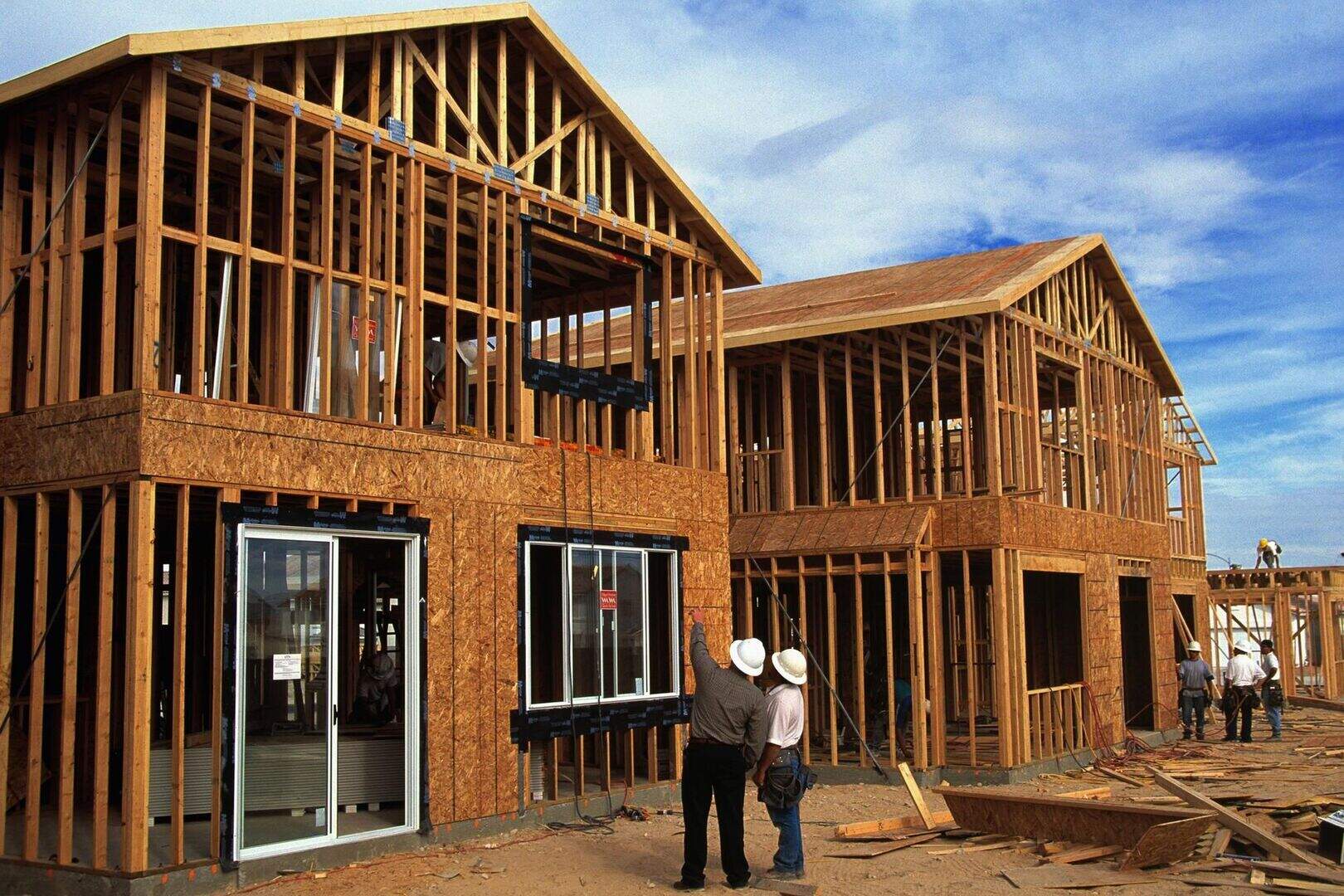 Timber: Making the most of Ireland’s fastest-growing natural resource ...