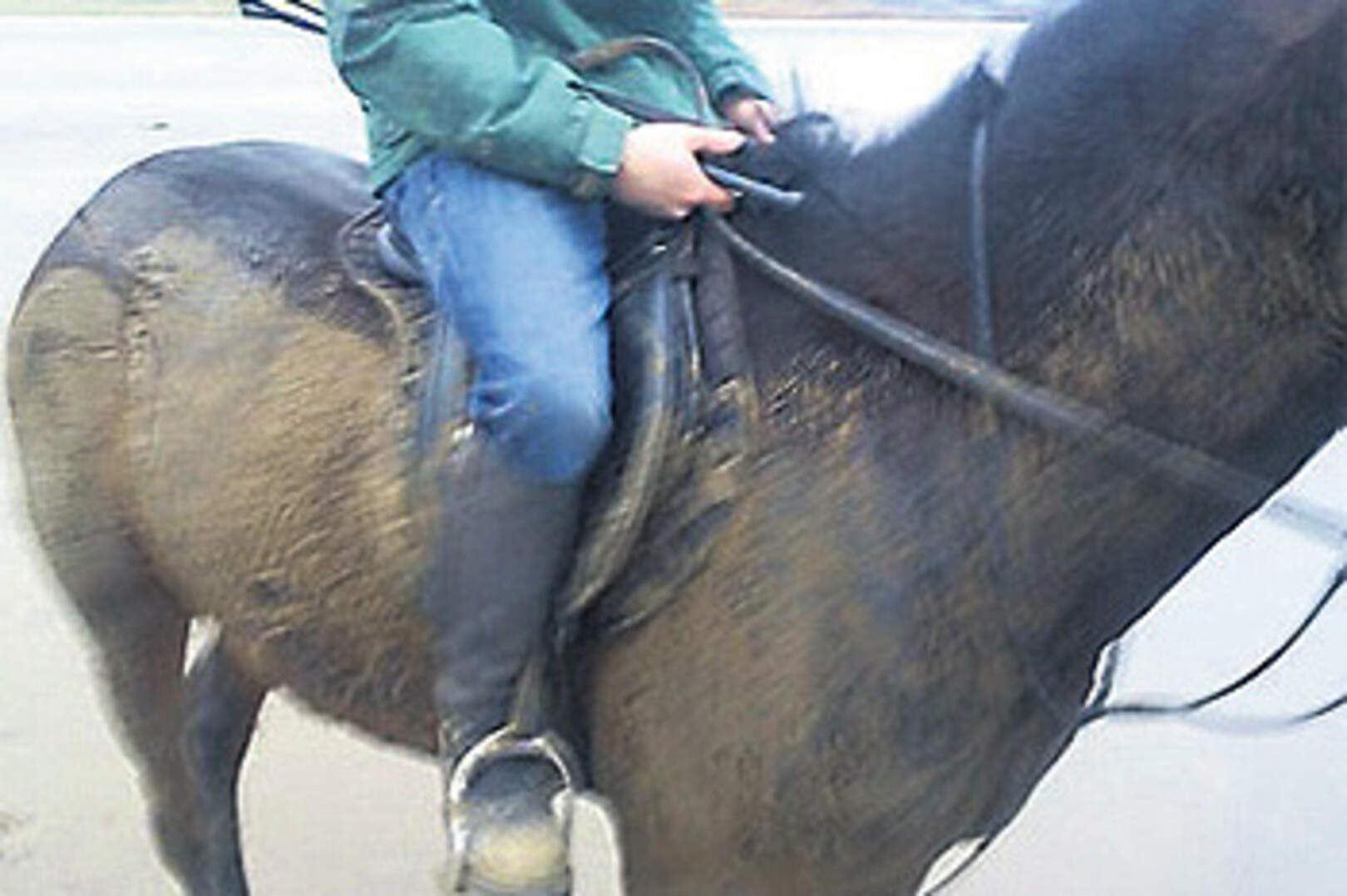 Rider and her horse in quicksand lucky escape | Irish Independent