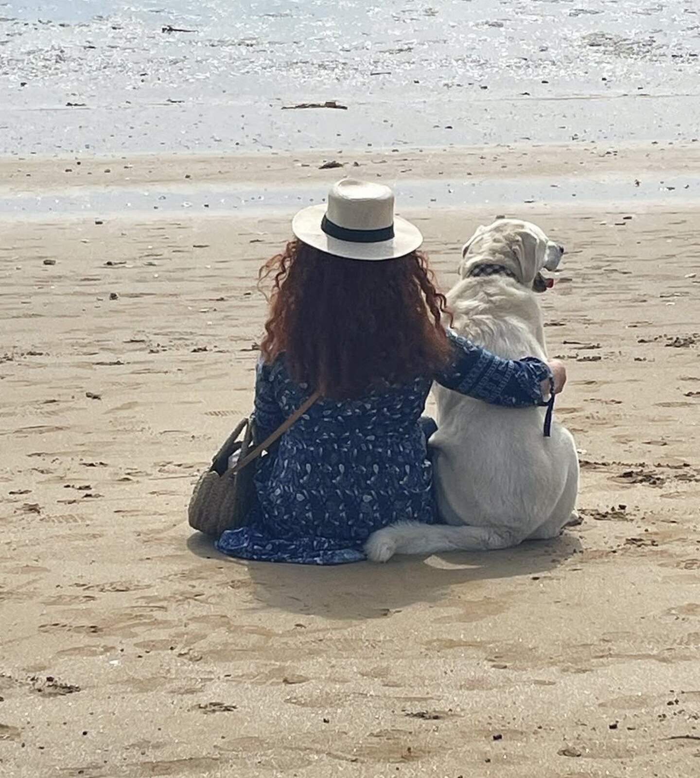 I travelled 2,000 miles and spent €20,000 to save my dog Casper from ...