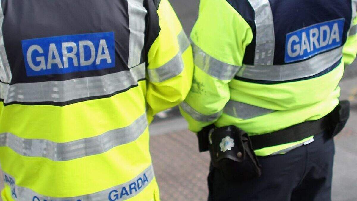 Man (60s) dies in workplace incident in Longford | Irish Independent