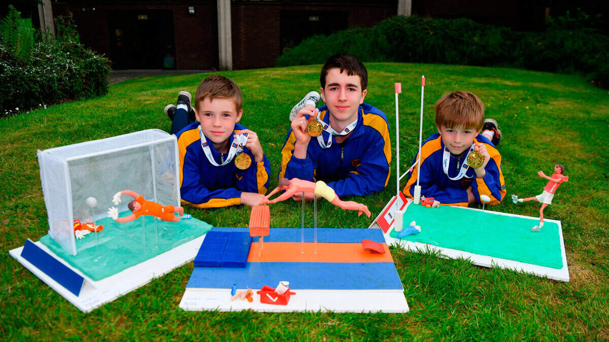 Brothers prove model champions for Community Games as they strike gold ...