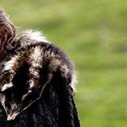 Memes - how a new form of communication has been born | Irish Independent