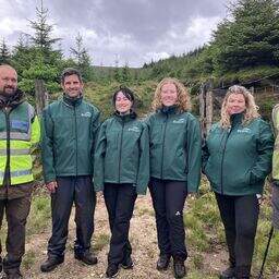 Wicklow Mountains peat restoration project at Kippure progresses ...