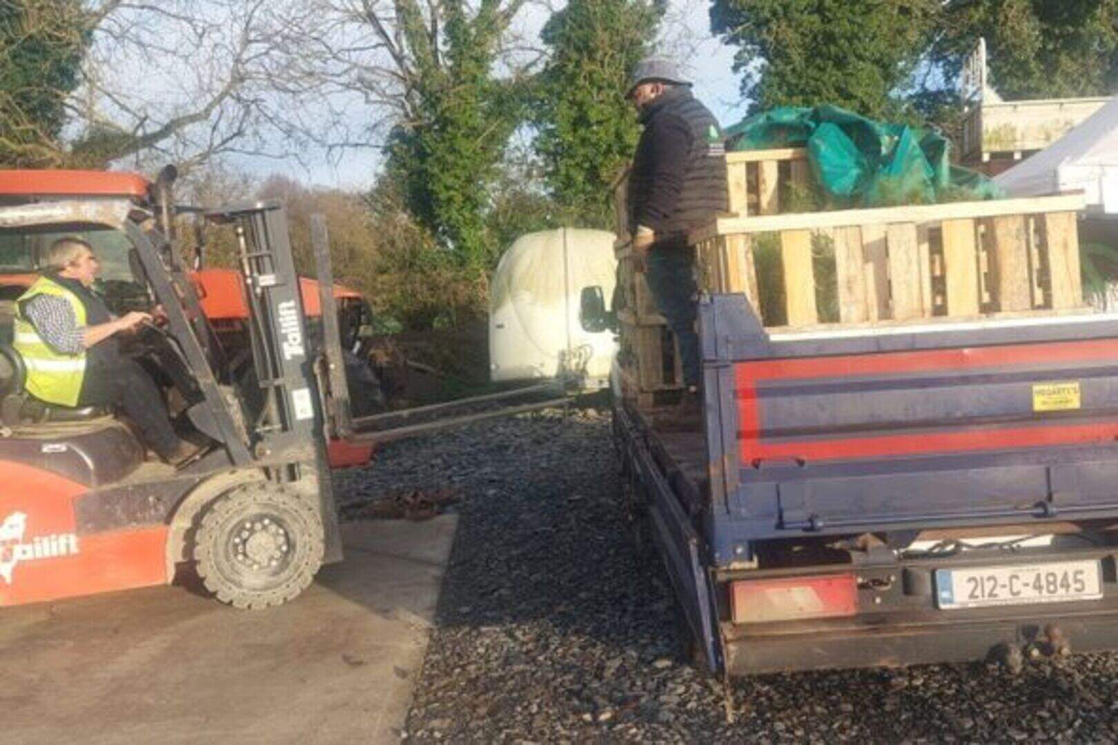 From coachbuilding to a nature reserve Ardee woman, Anne Lennon tells ...