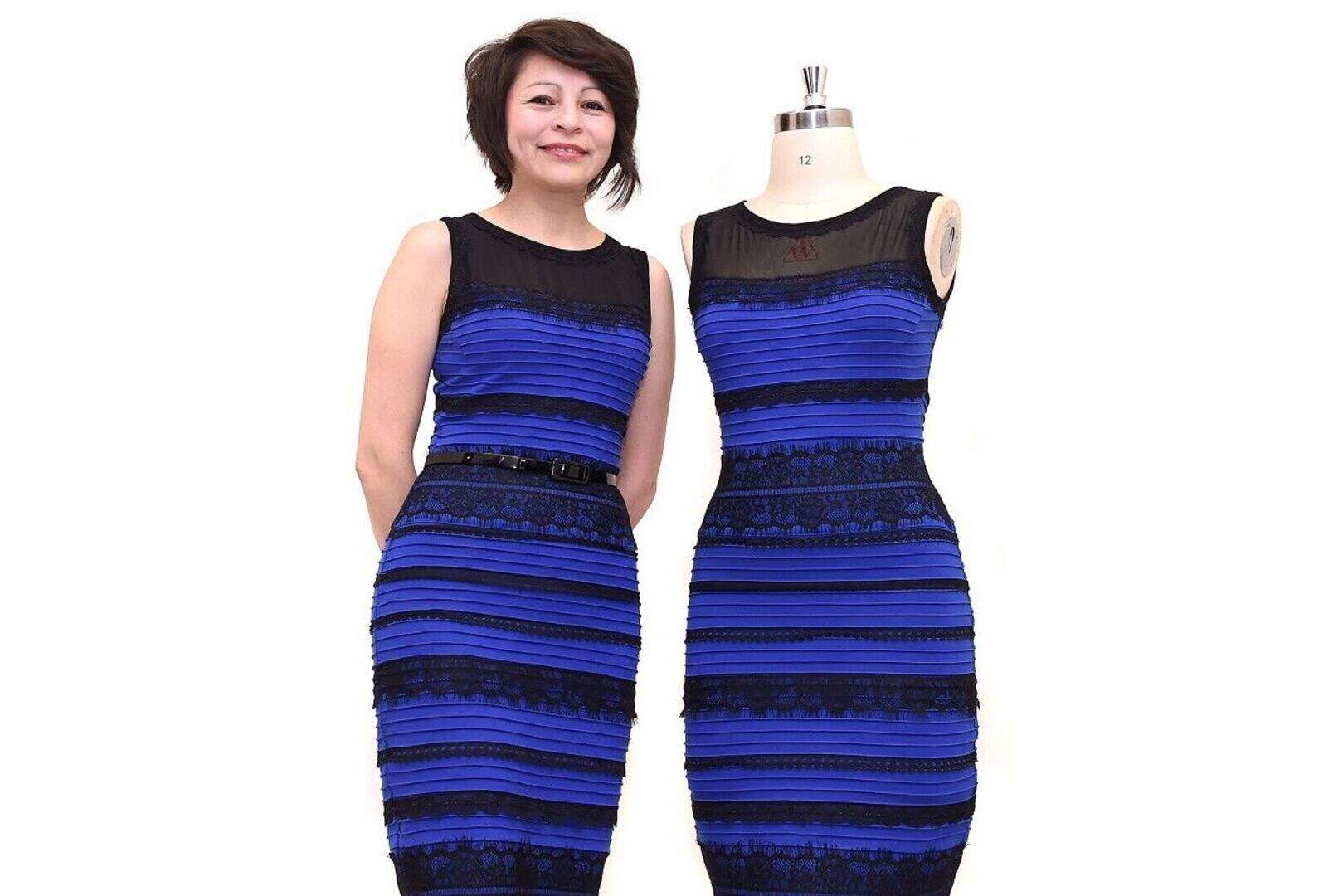'The dress' sold off for charity | Irish Independent