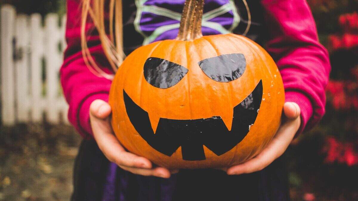 20 of the most fun events and activities to do with kids this Halloween ...