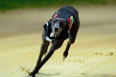 Clonmel Stakes gets huge prize money boost | Irish Independent
