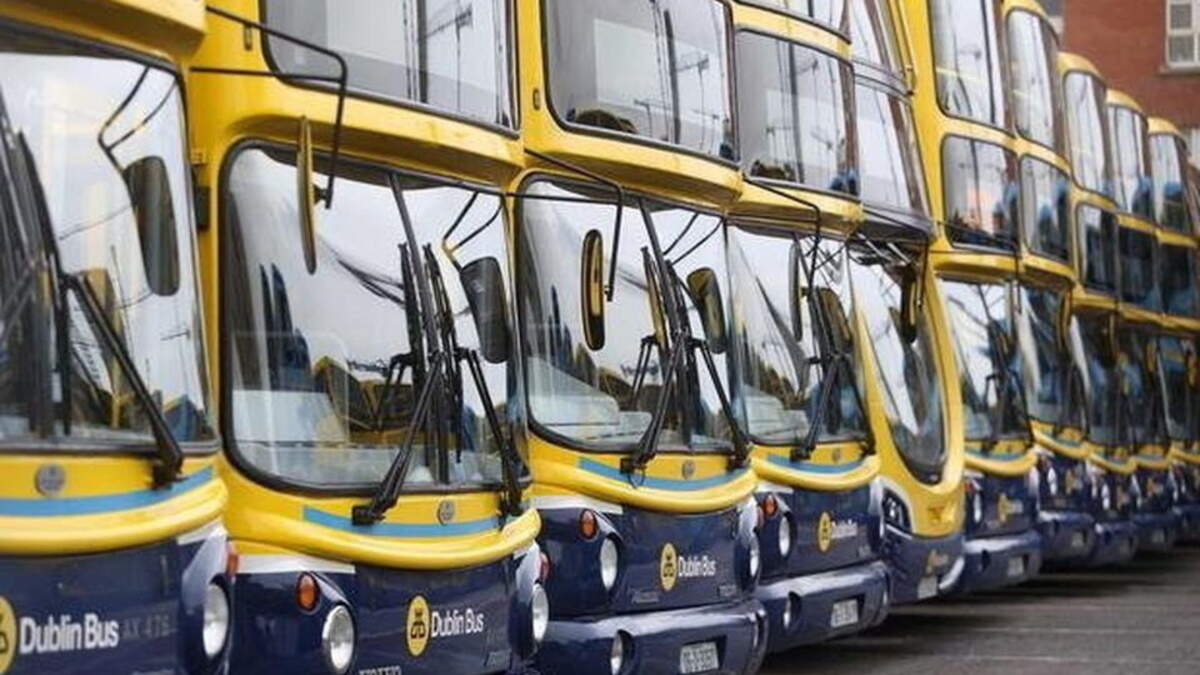 Drunken dad-of-two who told gardaí to ‘f*** off’ on bus was ‘allergic ...