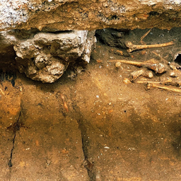 A skull, bones, two coffins and Columbus - discovery could hold key to ...