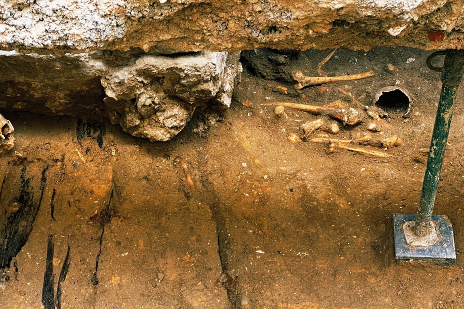 A skull, bones, two coffins and Columbus - discovery could hold key to ...