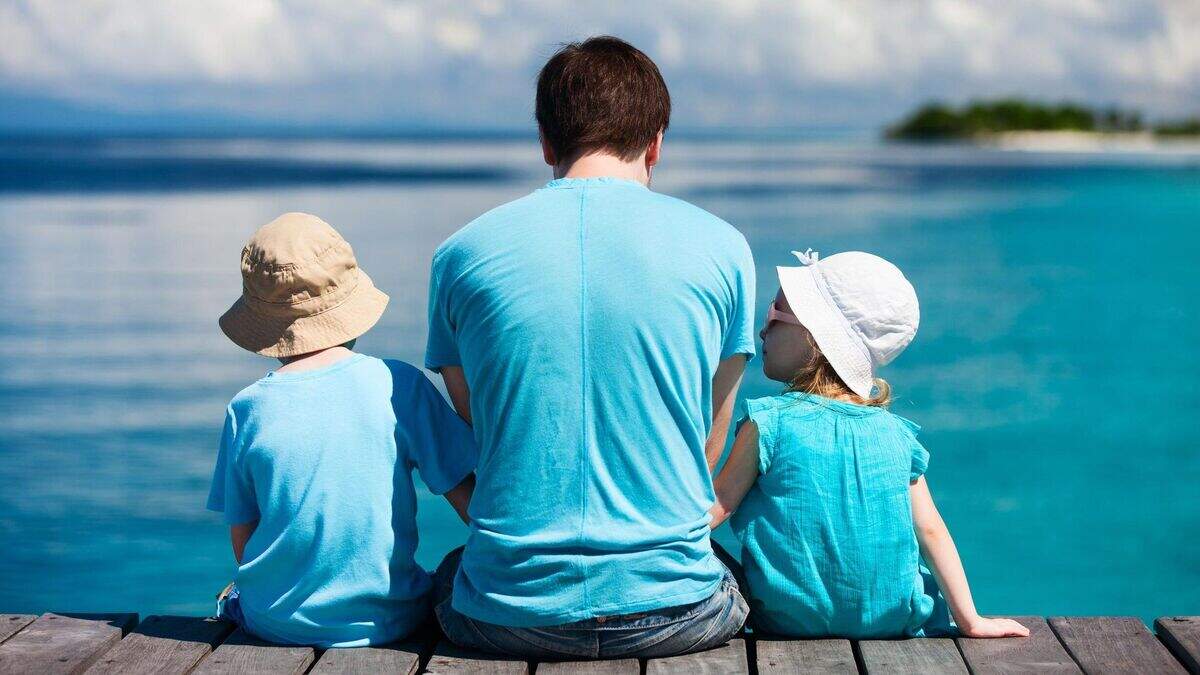 The phrase ‘daddy daycare’ really annoys me — it needs to be retired ...
