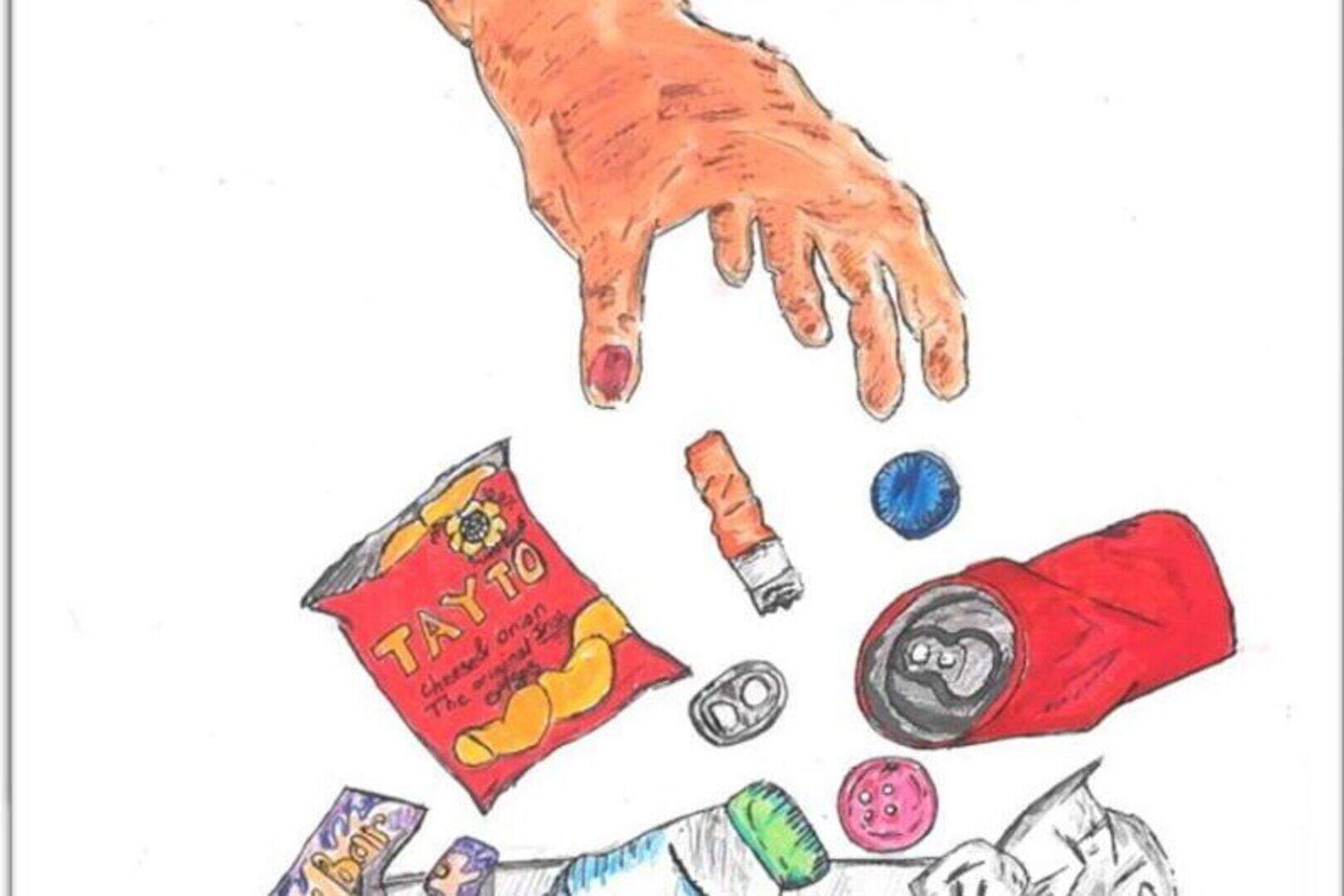 Galway County Council announces primary school winners of Anti-Litter ...