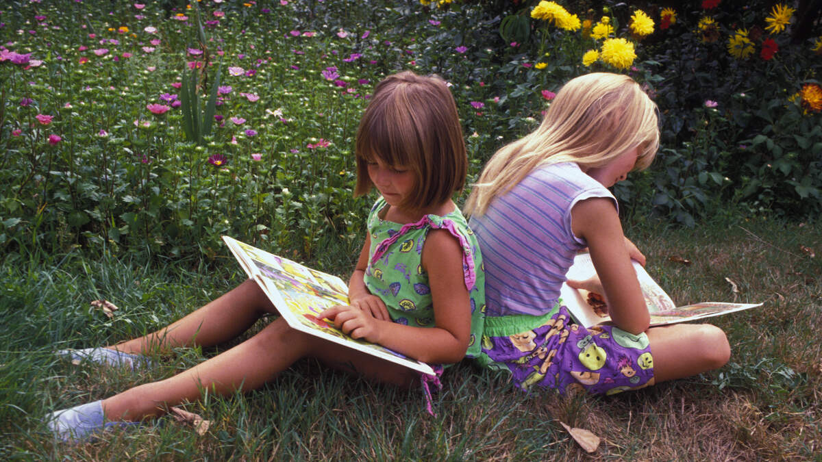 Top ten books for children this summer, by Irish authors and ...