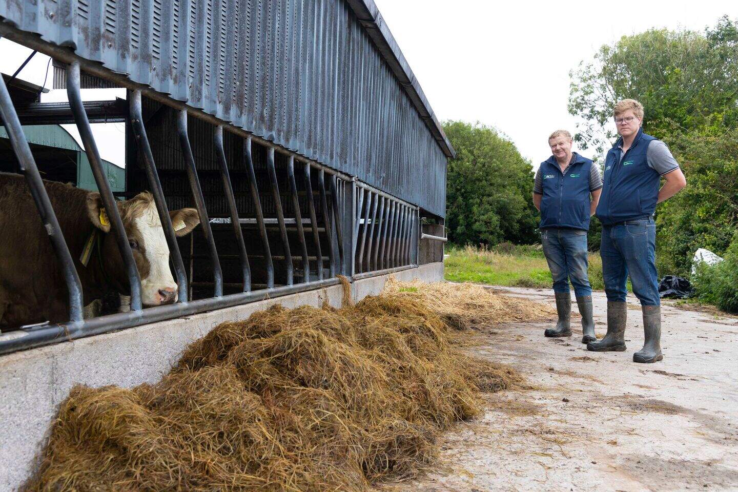 Ageing and succession: ‘Us older farmers need to wake up and hand over ...