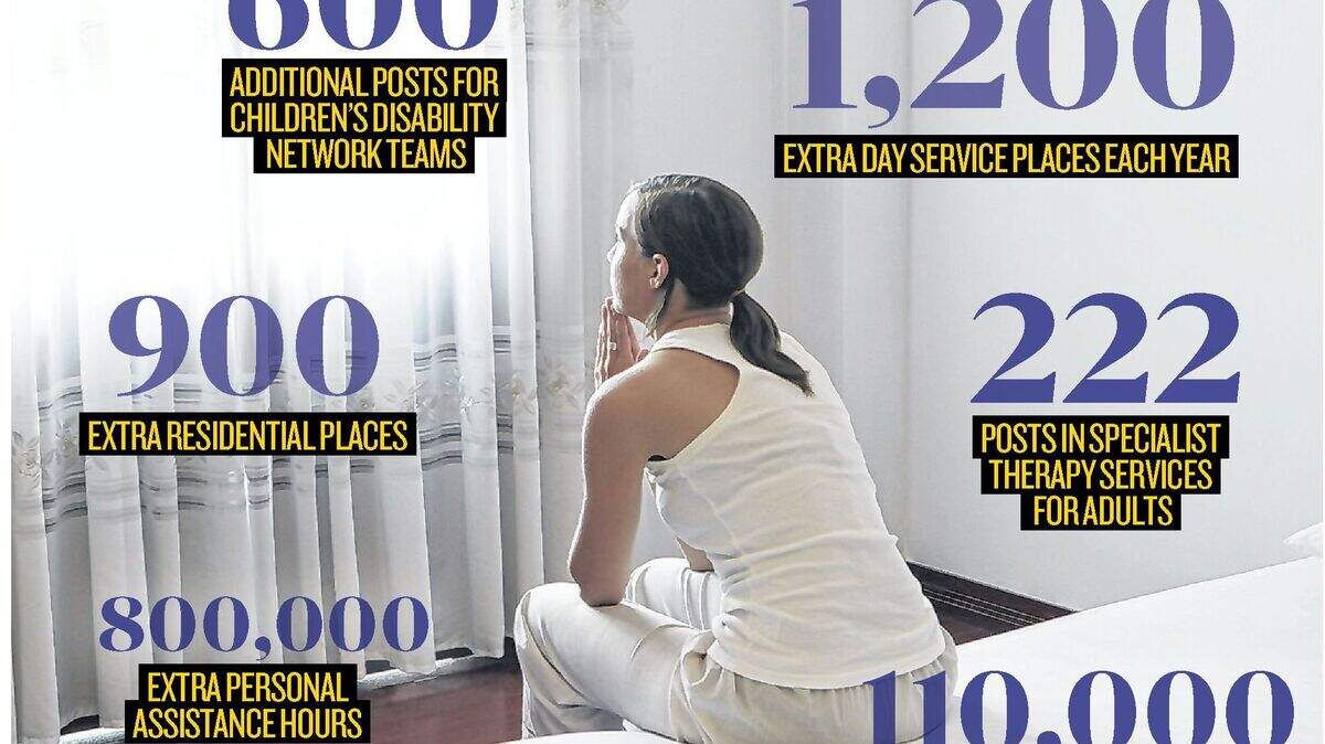 Disability services’ action plan under threat in Budget funding row ...