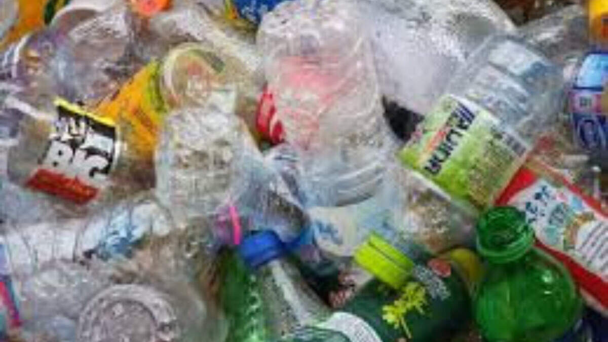Simple steps to reduce plastic use | Irish Independent