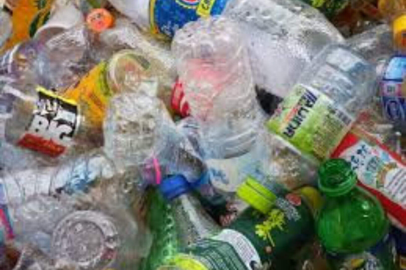 Simple steps to reduce plastic use | Irish Independent