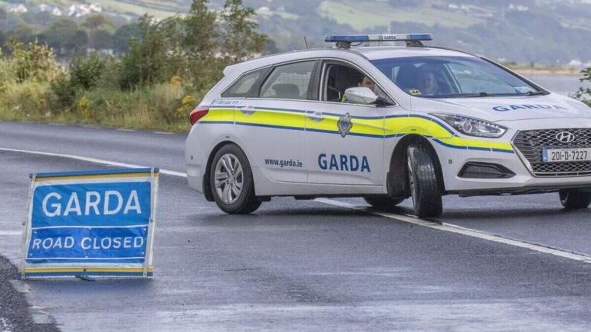 The Indo Daily: ‘A learner driver ploughed into my husband’ – More than ...