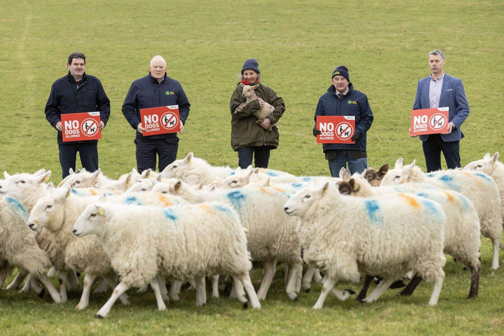 Wicklow IFA chair calls for robust controls after ‘No Dogs Allowed ...