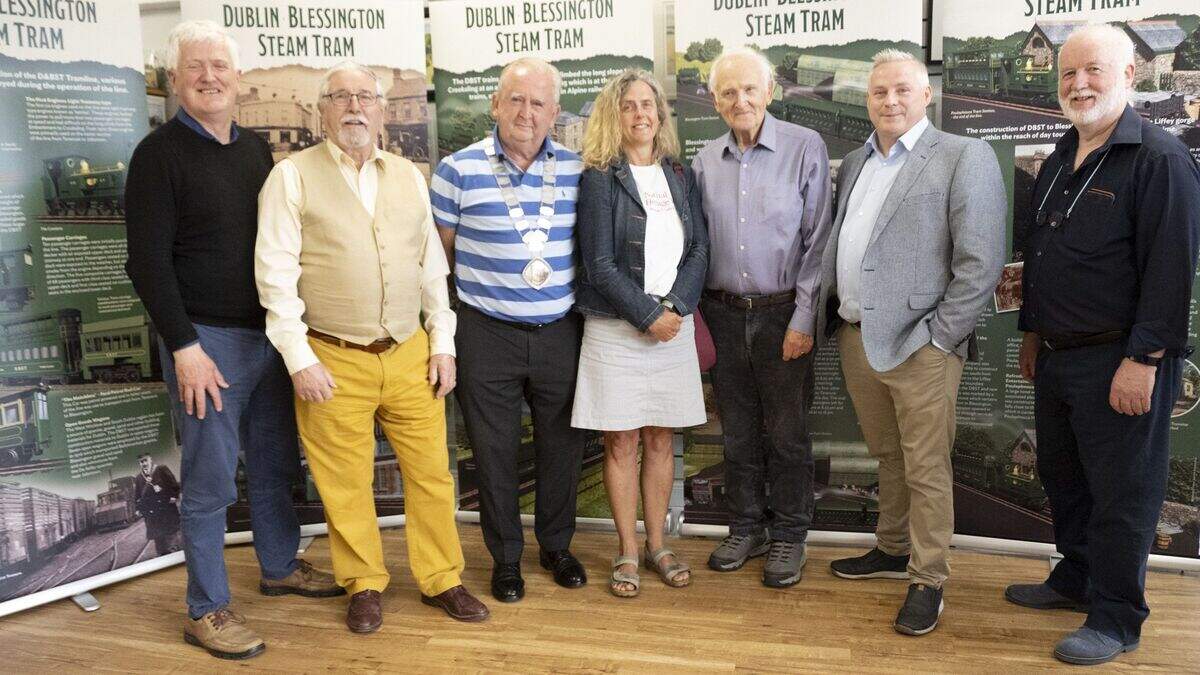 National Heritage Week: Co Wicklow steam train exhibition kicks off ...