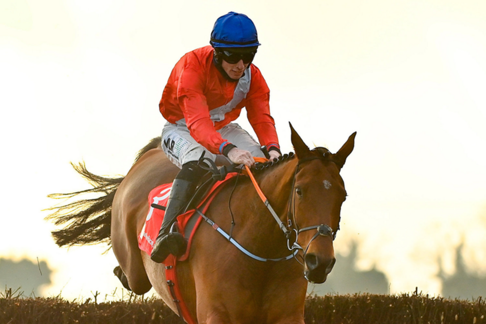 Jack Kennedy relieved to keep Envoi Allen ride at Cheltenham despite ...