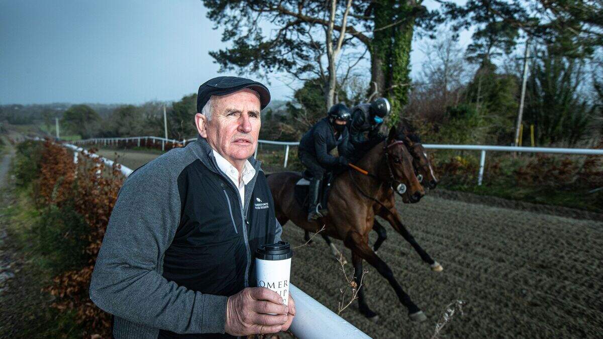 Billionaire Irish horse trainer Luke Comer gets a three-year ban and ...