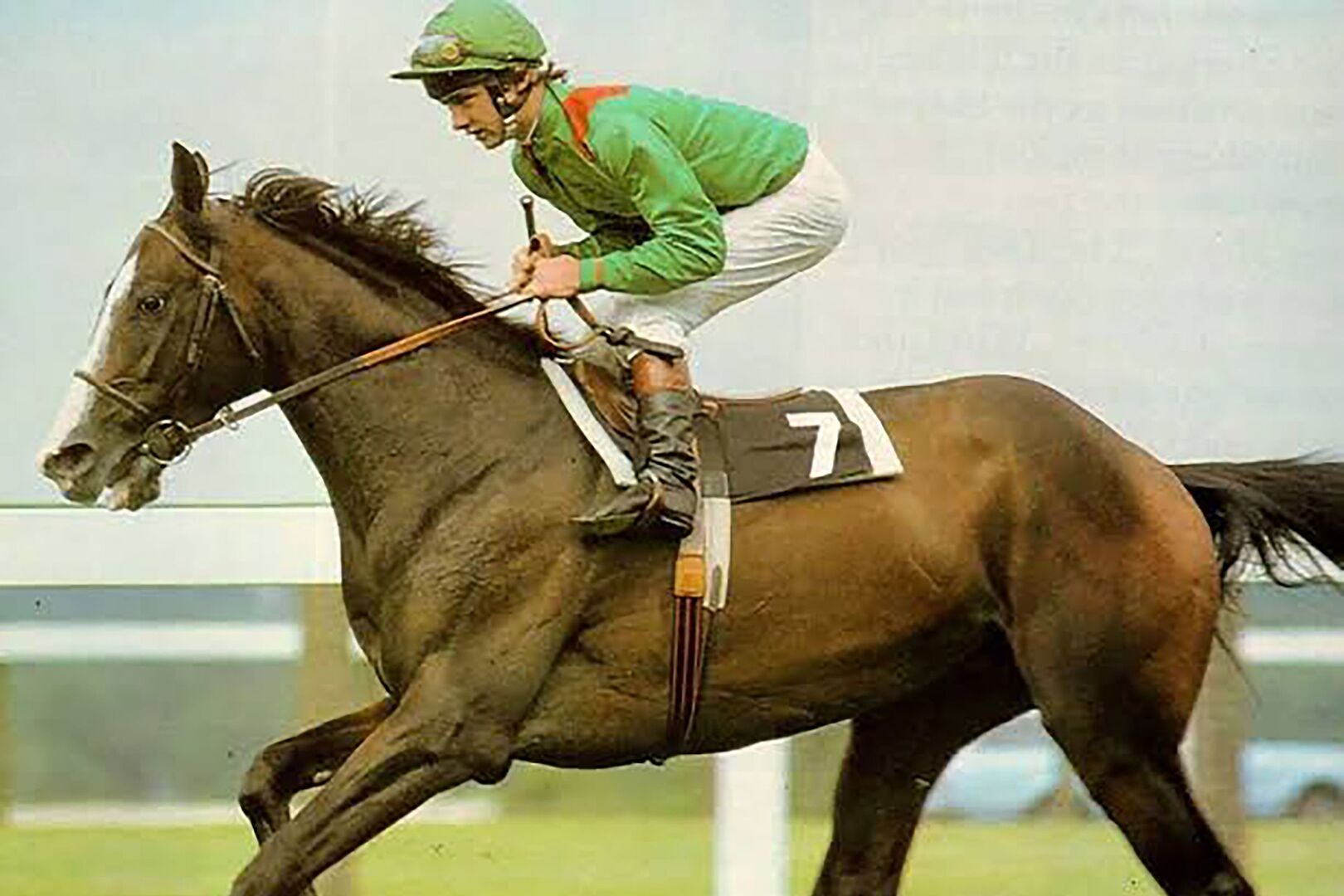 ‘Shergar: The Racehorse and the IRA’ review: Documentary on kidnapping ...