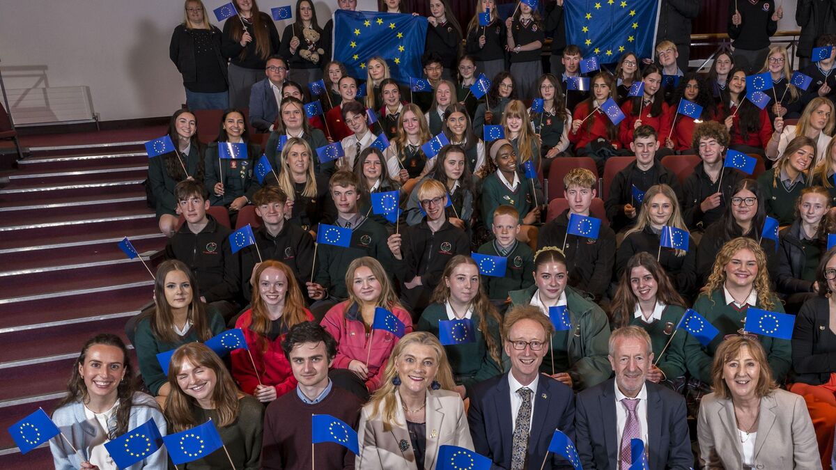 Offaly school recognised in EU Parliament Ambassador School awards ...