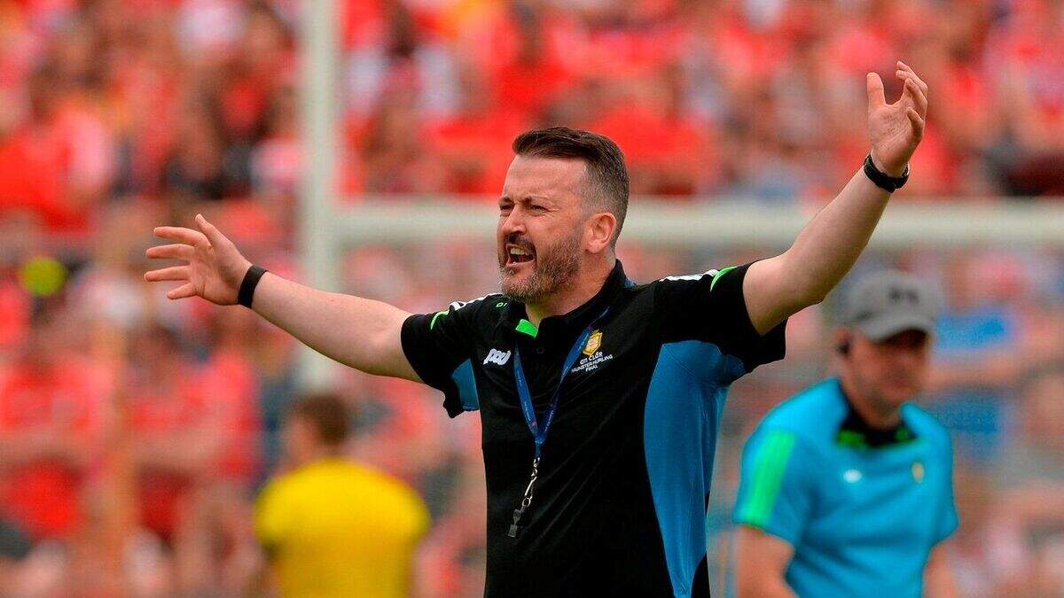 Brendan Cummins: Donal Óg Cusack a spark behind Rebel rise from zeroes ...