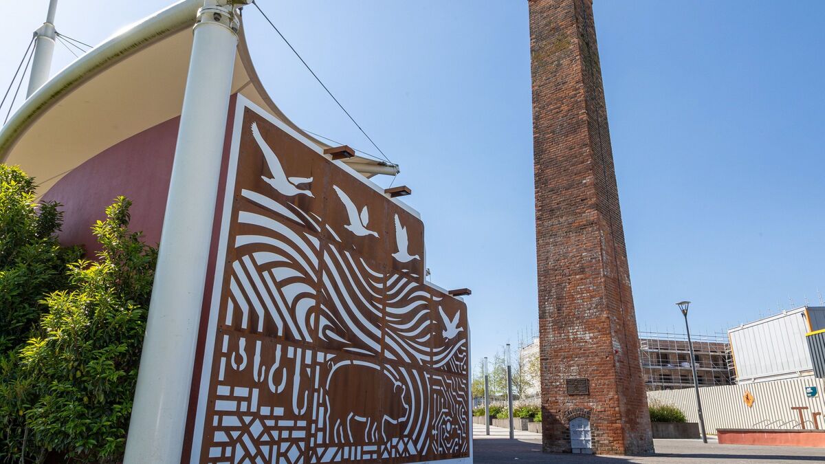 Kerry’s Island of Geese gets striking artwork honouring its industrial ...