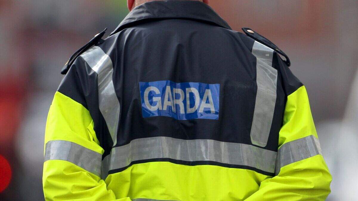 'Go on back to India': Irish woman's racist abuse on train captured on ...
