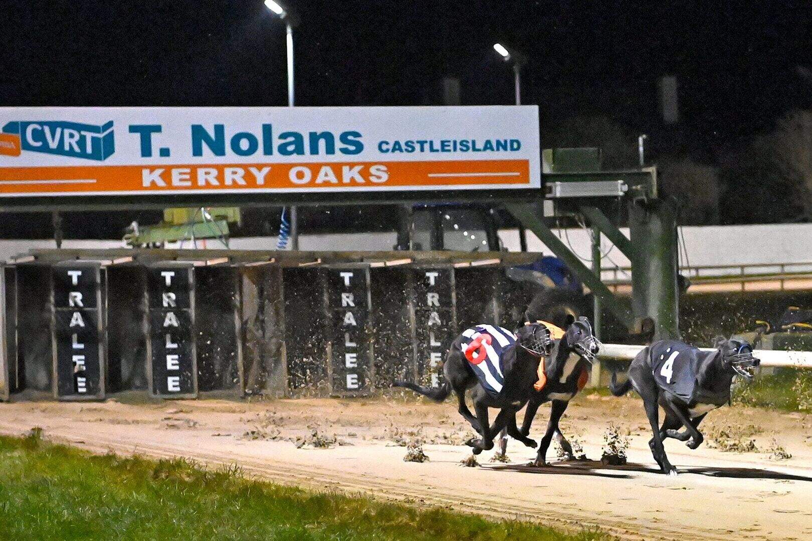 Liam Dowling still the man to beat in Kerry Oaks with three runners ...