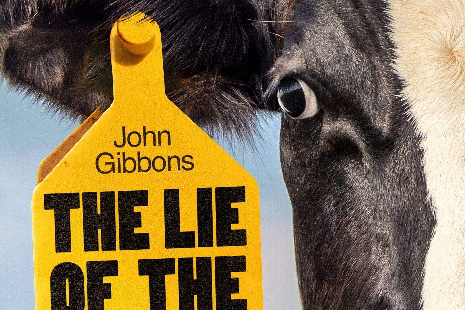 The Lie of the Land by John Gibbons: A call for honesty and pragmatic ...