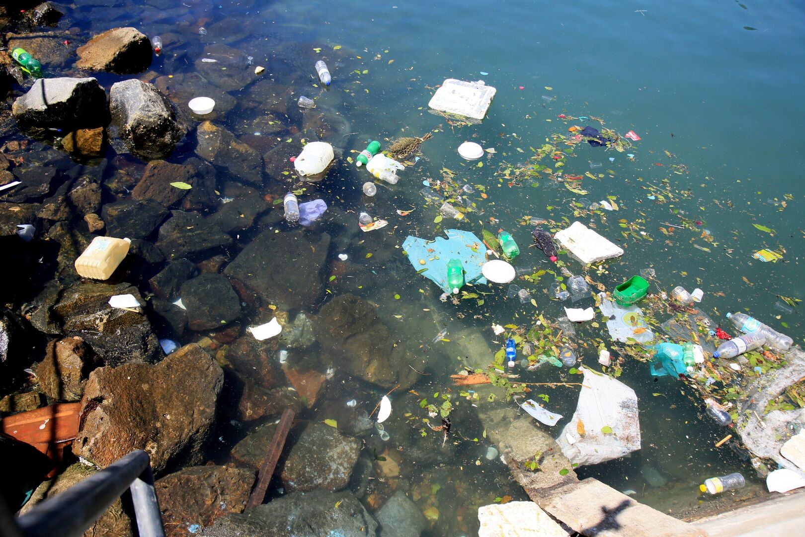 Paradise lost in a sea of plastic: How Dublin mum and daughter are ...