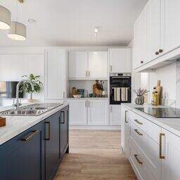 A natural habitat: Co Wicklow A-rated scheme uses biophilic design ...