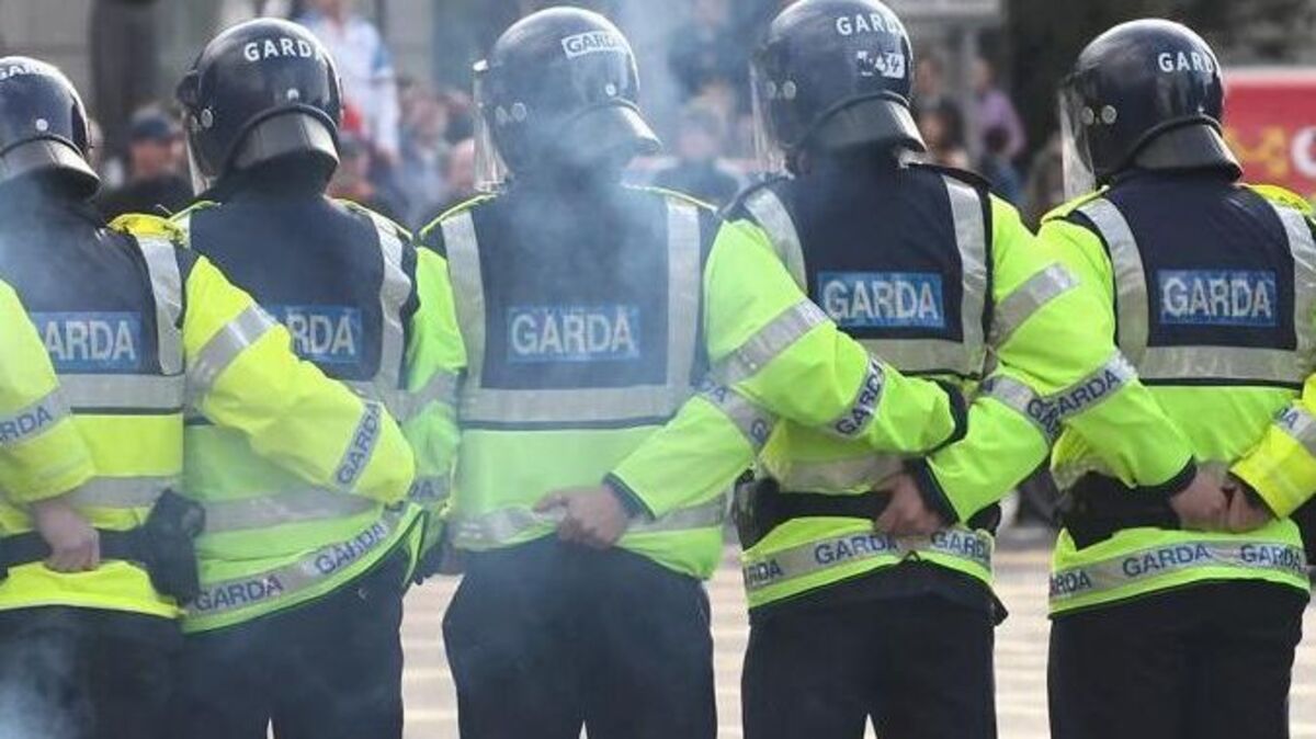 Ireland’s population is up by a million since 2006, so why have garda ...