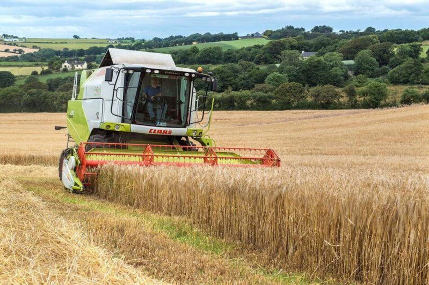 Wexford farmer takes home top prize at malting barley excellence awards ...