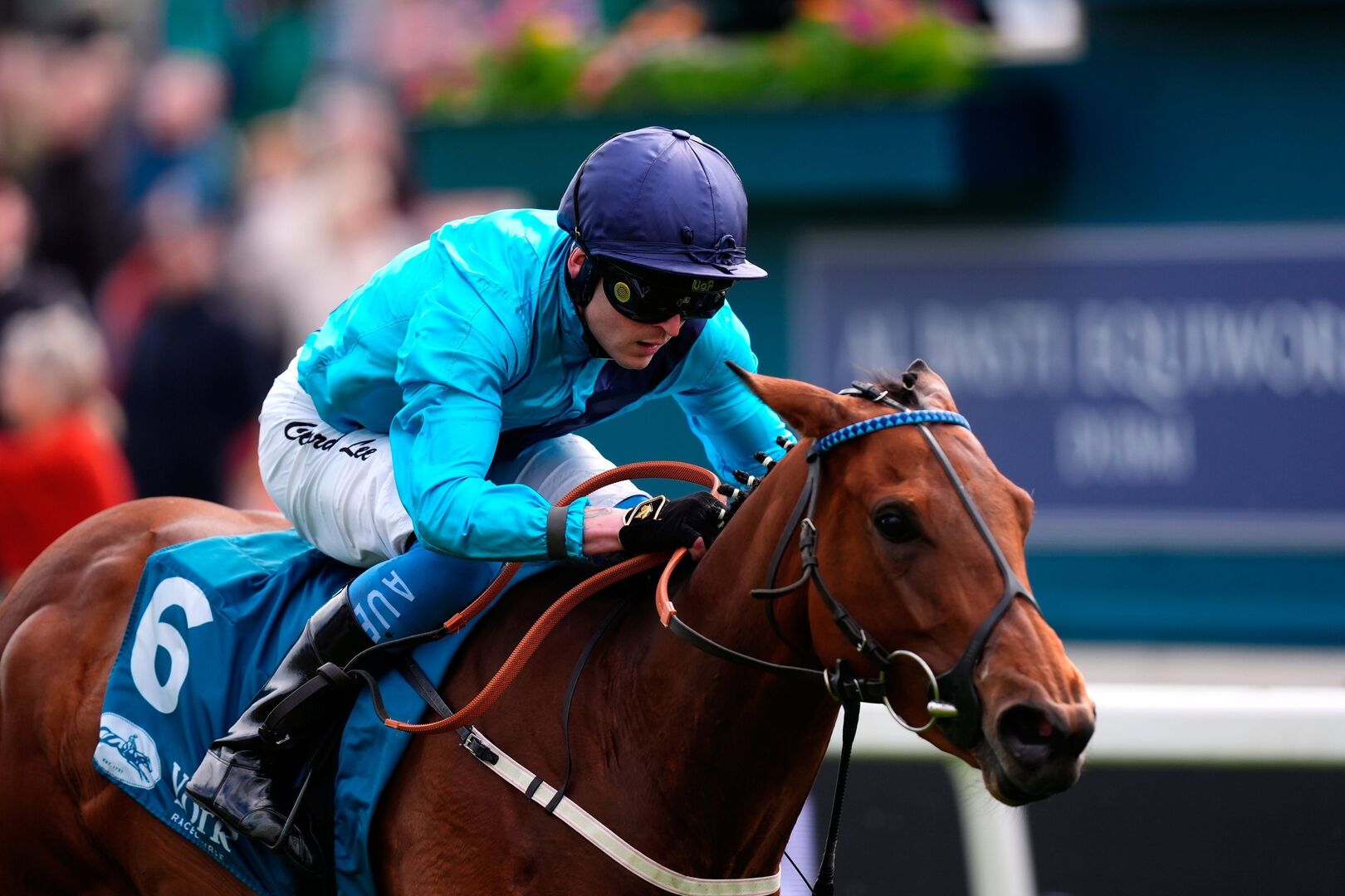 Wayne Bailey: Damysus to crown comeback after Derby flop with Lockinge ...