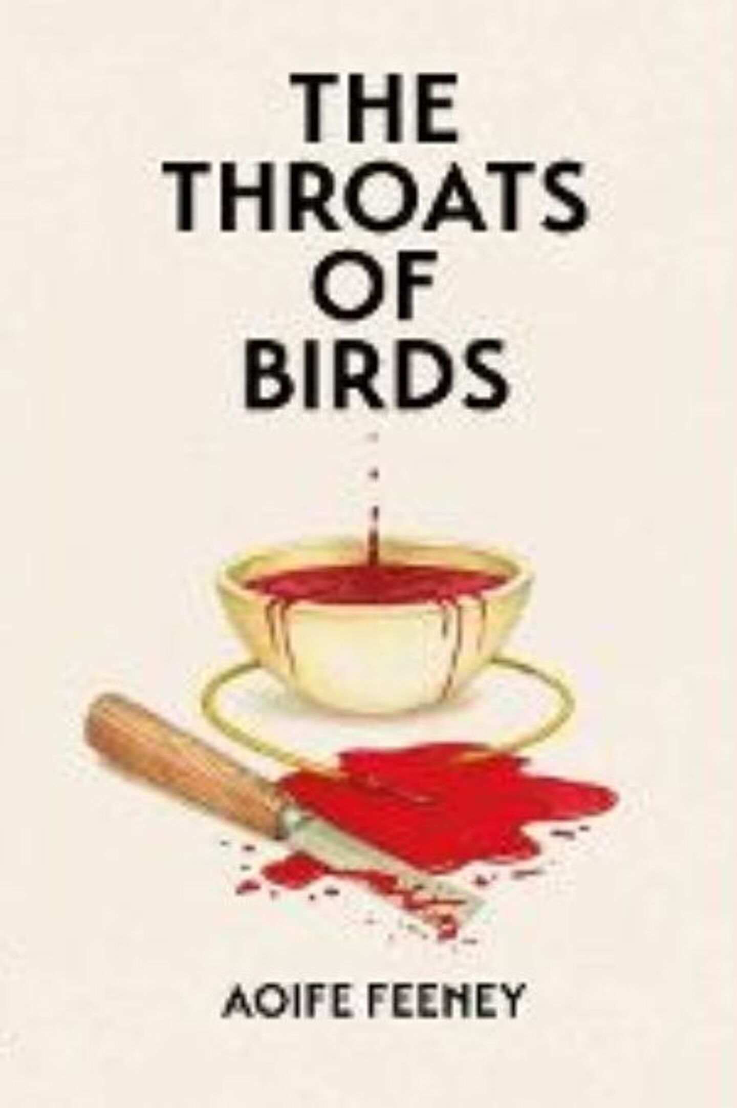 Throats of Birds review: Aoife Feeney's elegant yet terrifying portrait ...